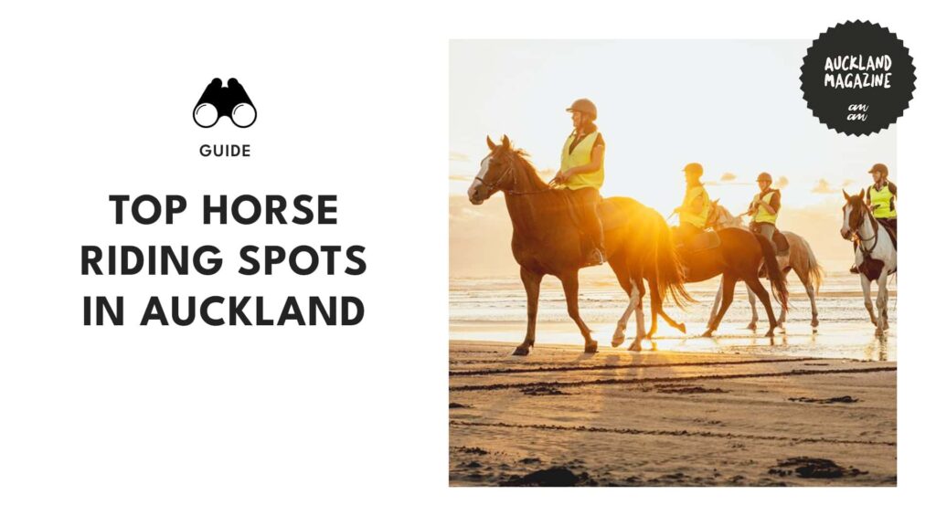 The Complete List of Auckland’s Best Hair Salons 2026 ]