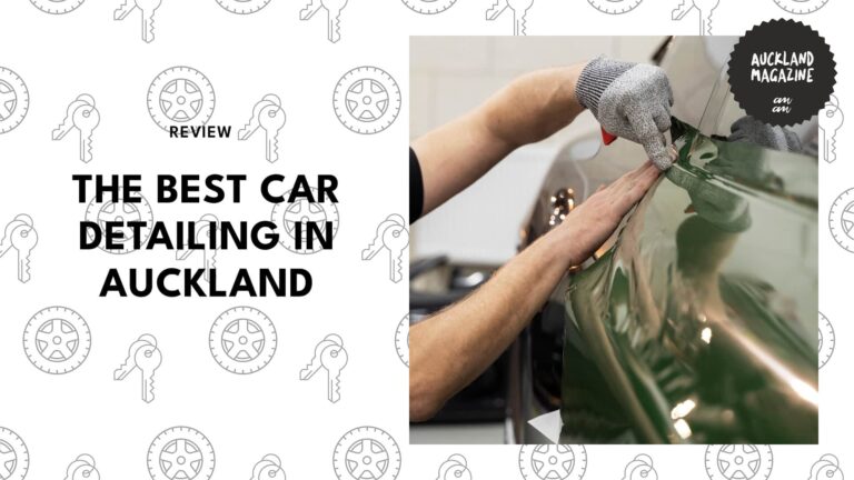 The 5 Auckland Vet Clinics Where Pets Always Come First [2025]