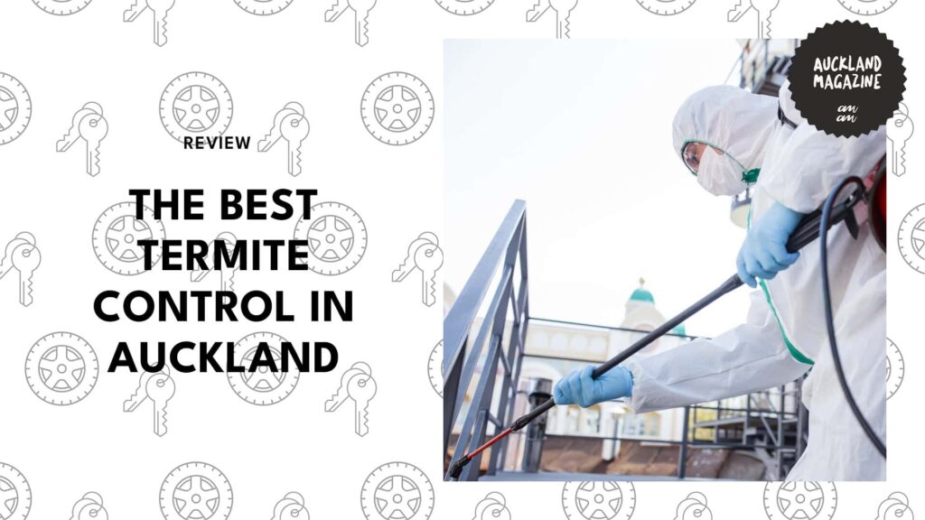 16 Must-Try Cake Spots in Auckland for Pure Delight [2025]