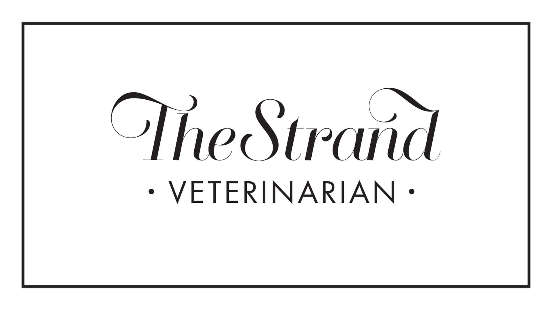 The 5 Auckland Vet Clinics Where Pets Always Come First [2026]