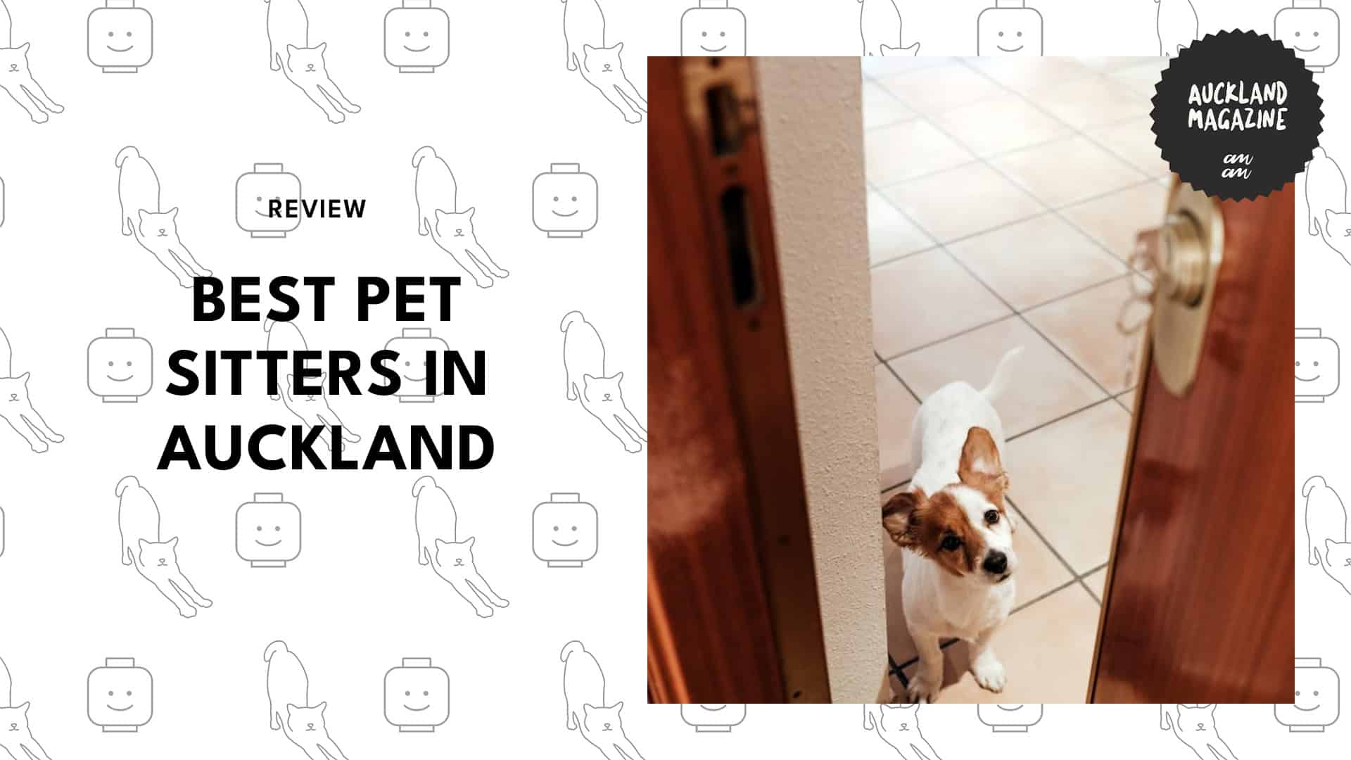Meet the 5 Pet Sitters Auckland Pet Parents Swear By [2026 ]