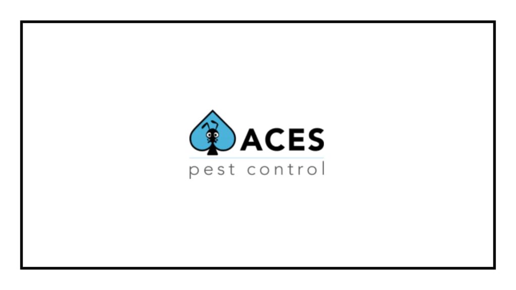 The 6 Best Ant Control Services in Auckland [2026 ]