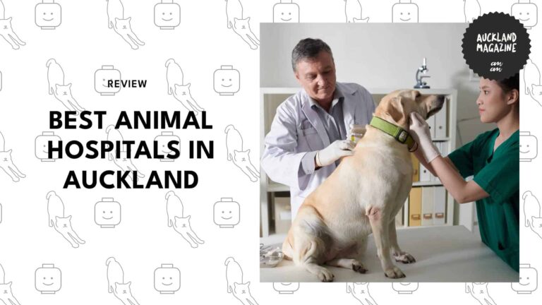 Best Animal Hospitals in Auckland: Top 5 Clinics Reviewed [2026 ]