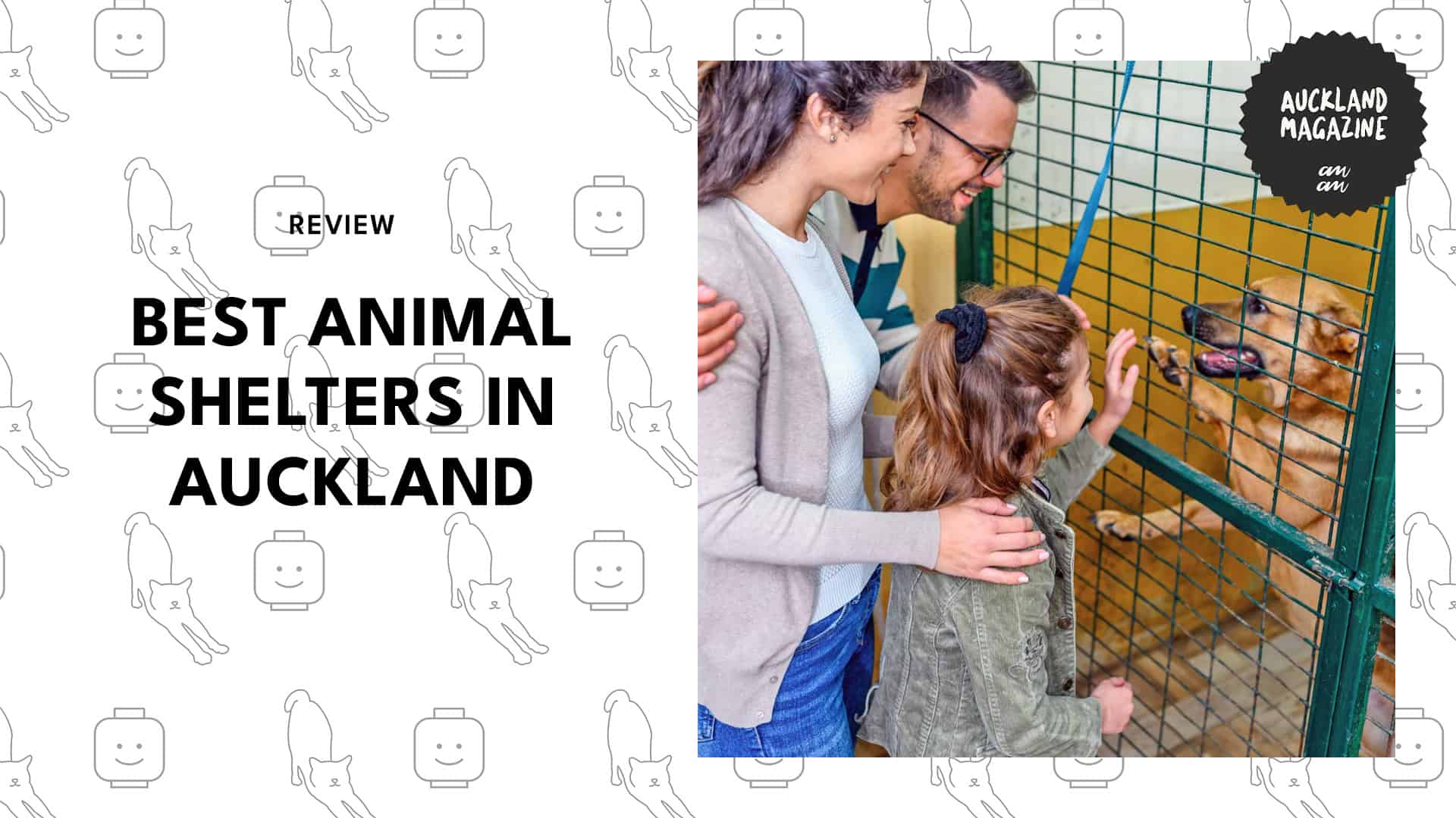 The Best Gyms in Auckland for Fitness Buffs [2025 ]