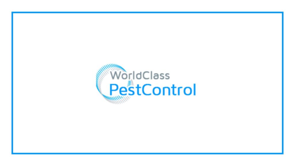 The 5 Best Ant Control Services in Auckland [2026 ]